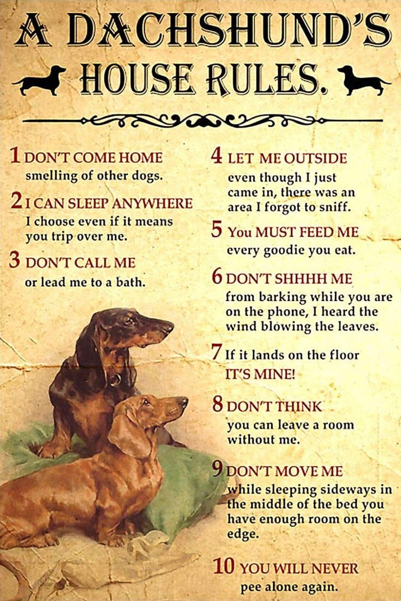 Skitongifts A Dachshund House Rules Dog Lovers Home Decor Wall Decor - Etsy