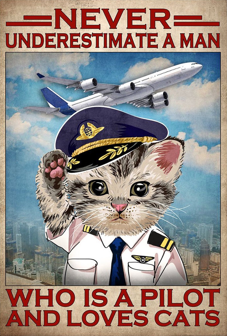 Pilot Cat – Never Underestimate A Man, Who is A Pilot and Loves Cats ...