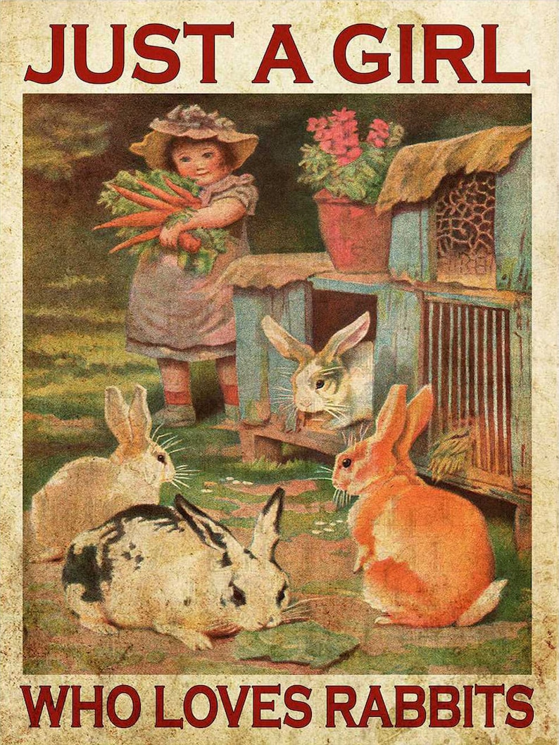 Rabbit Lover, Rabbit Poster – Just A Girl, Who Loves Rabbits Poster ...