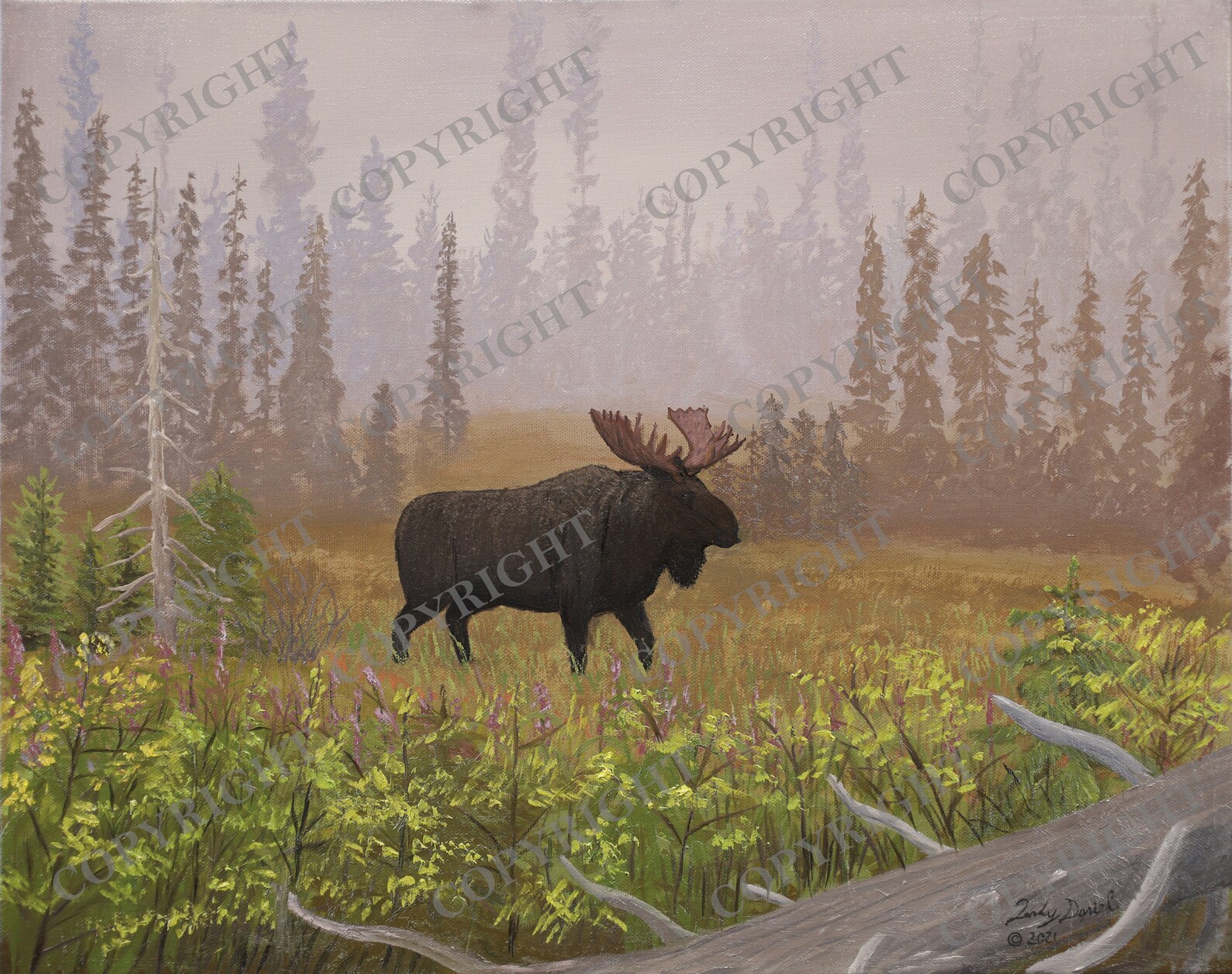 Wildlife Moose Painting - Limited Edition Fine Art Print - Mistful ...