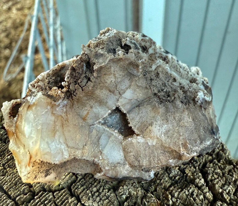 Oregon Agate|collected From Wildfire Burn Area - Etsy