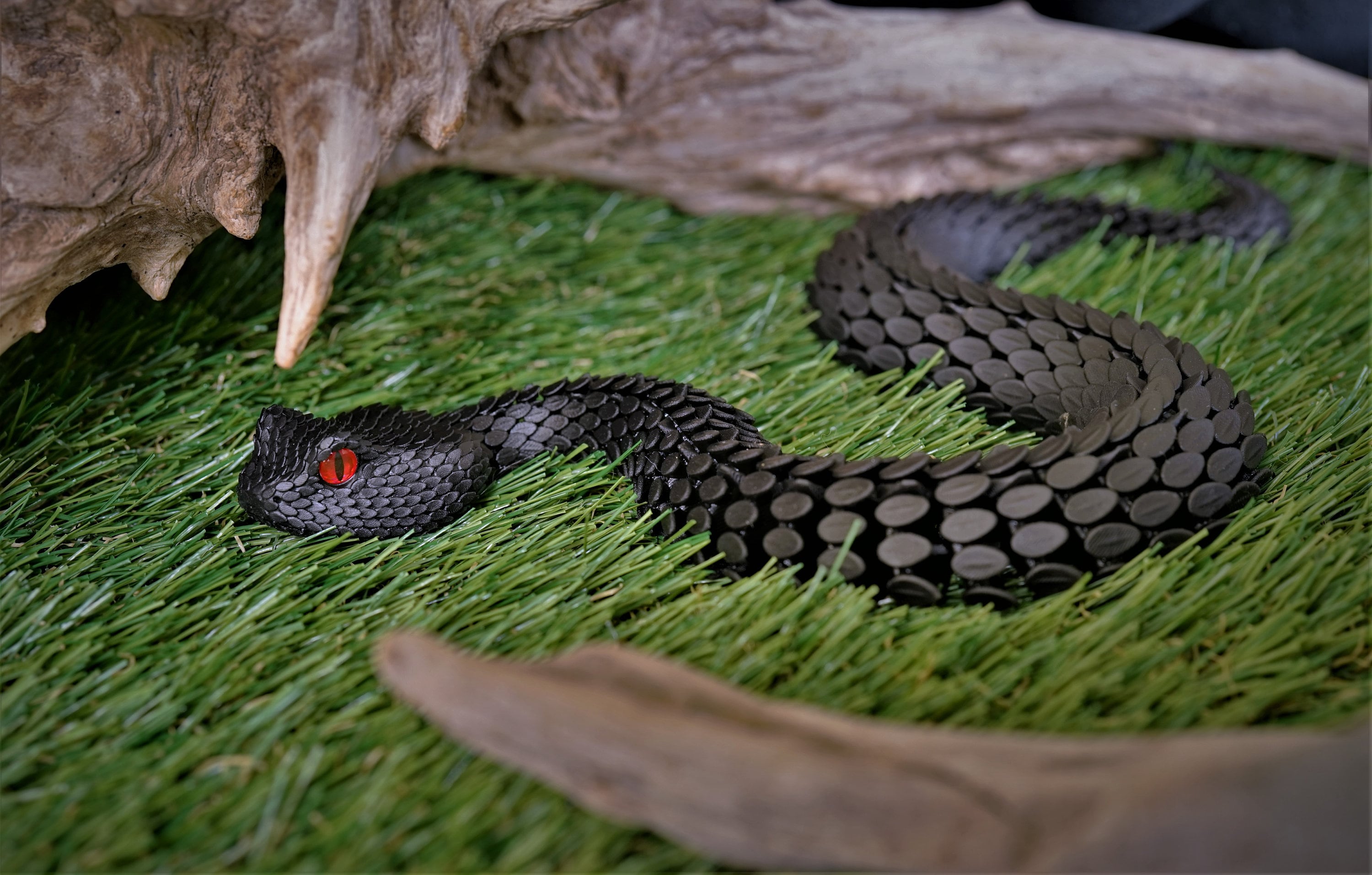 Black And Red Viper Snake