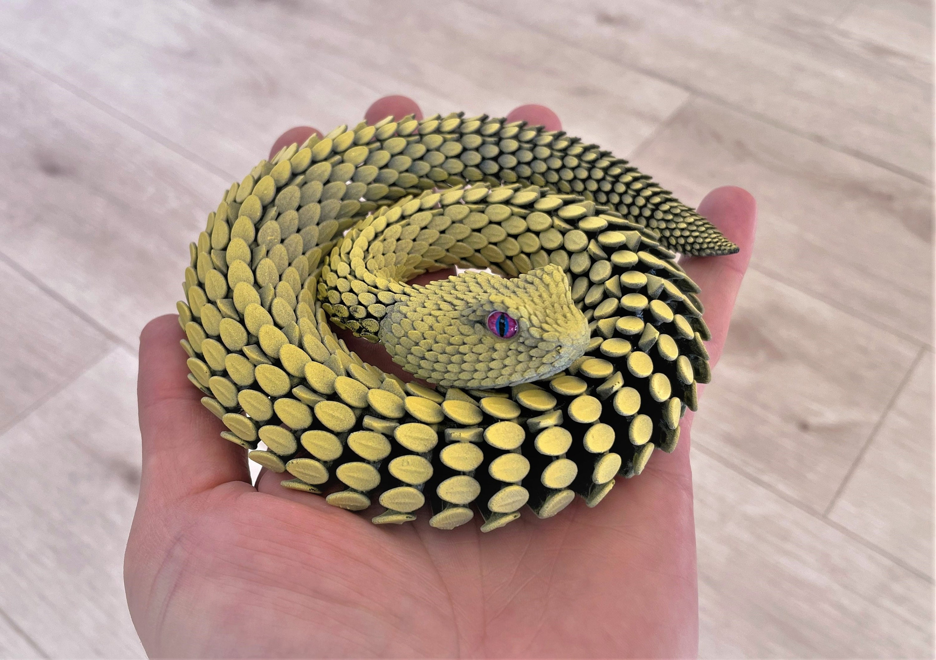 Snake With Shoe Box Projects