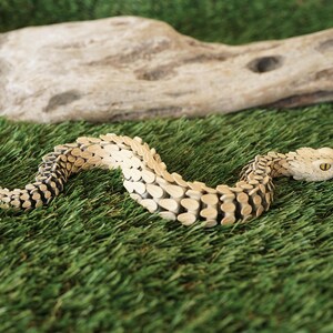 Rattlesnake Figure | Articulated Model Snake - Etsy