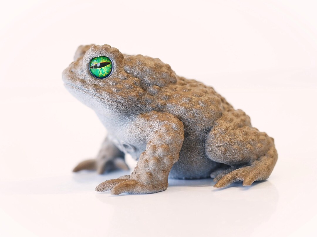 Toad Figure From CUBO - Etsy