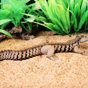 Alligator Figure | Articulated Crocodile | Caiman Toy - Etsy