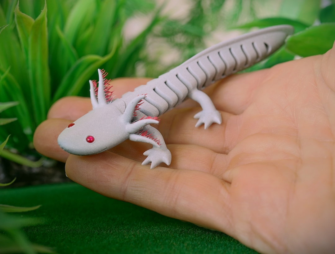 Axolotl Figure| Articulated Toy Salamander | Lifelike Model - Etsy