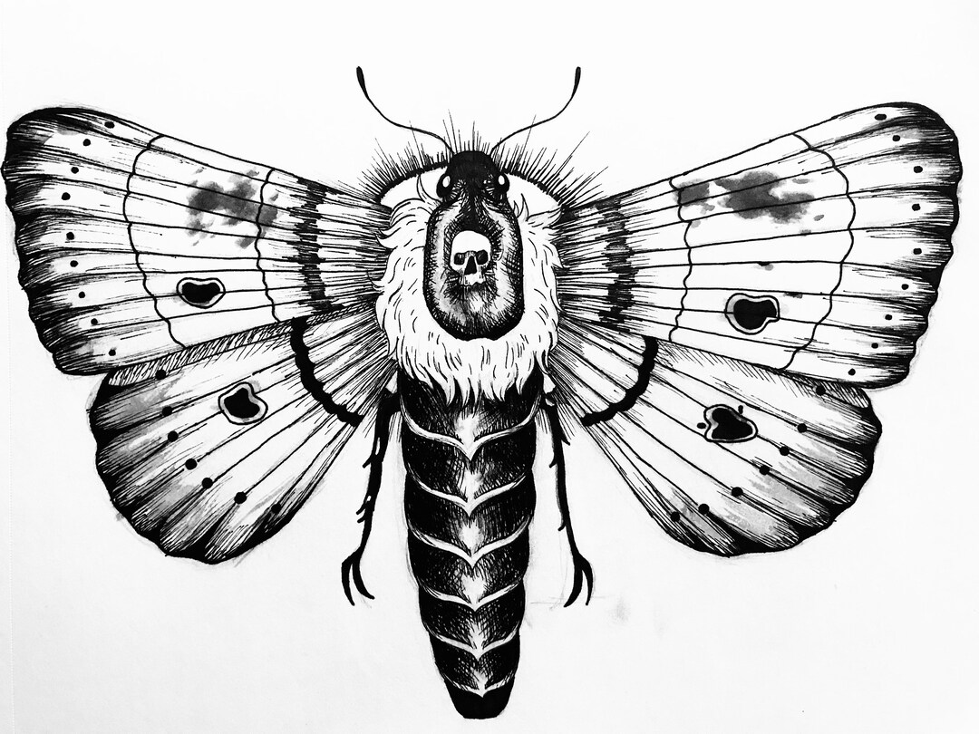 Goth Moth (print) - Etsy