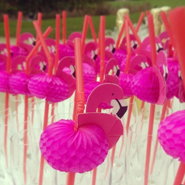 Flamingo Straws - Etsy