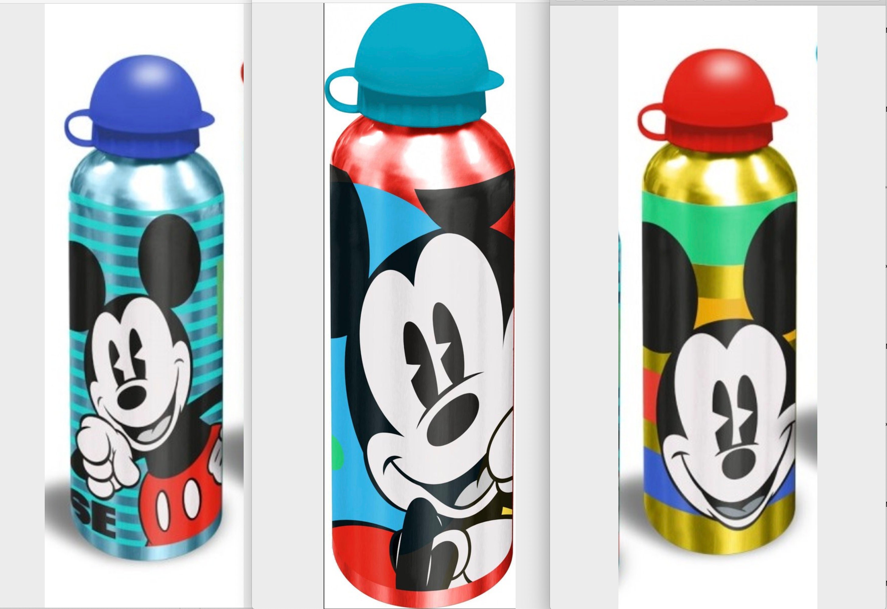 Disney Europe Mickey Mouse 500ml Metal Drinking Water Beverages Bottles ...