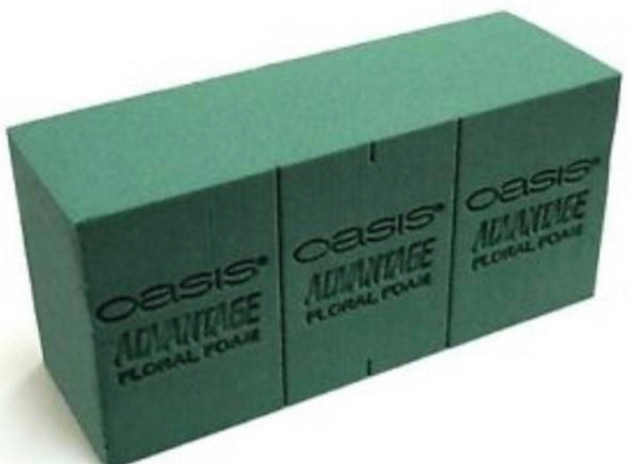 Oasis Foam Blocks (48ct) - Etsy