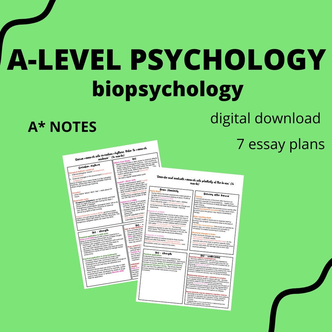 A Level Psychology BIOPSYCHOLOGY 16 Mark Essay Plans - Etsy