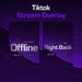 Tiktok Purple Stream Overlay Pack, Clean Stream Overlay Package, Tiktok ...
