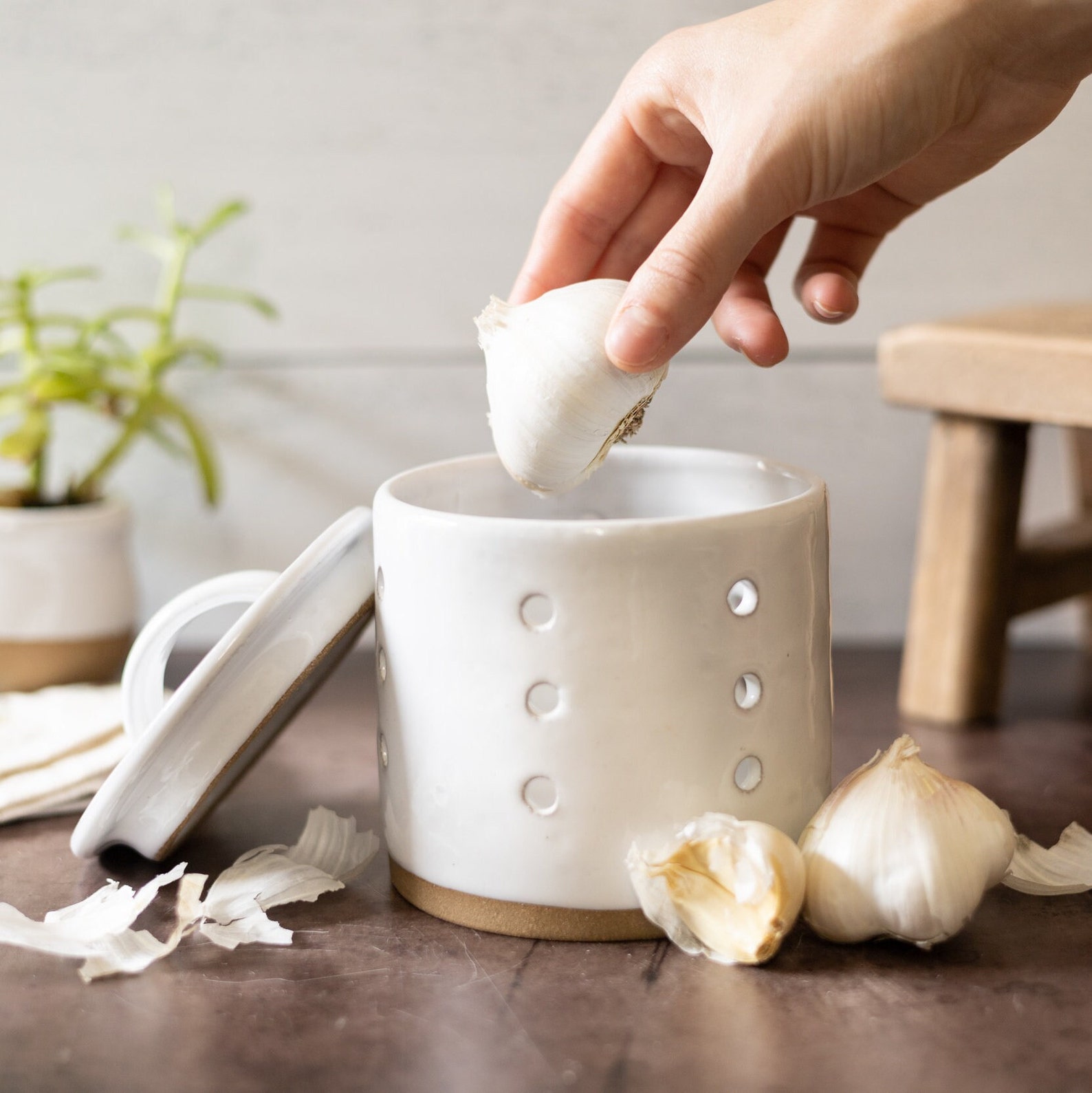 Garlic Keeper Lidded Jar Large Pottery Ceramic Garlic Crock Modern ...