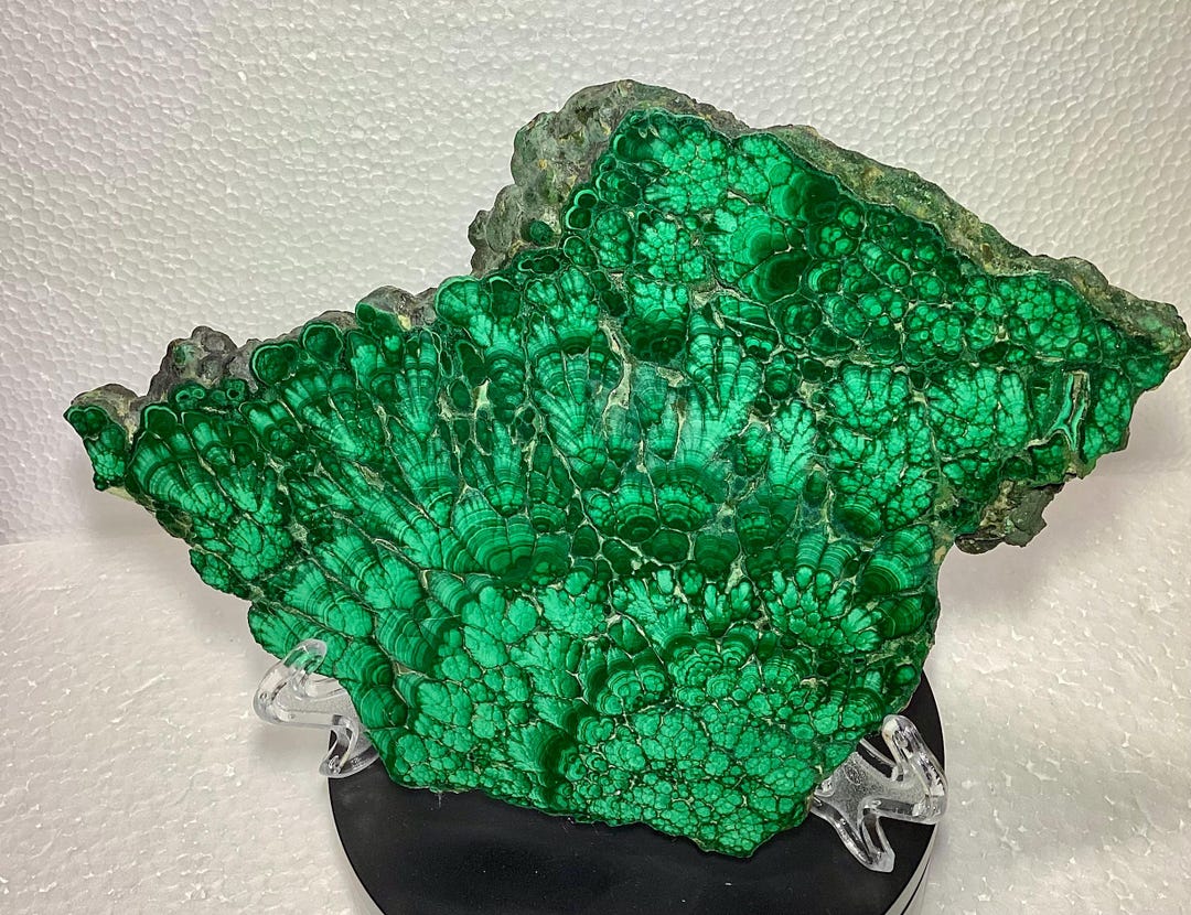 MALACHITE CROSS SECTION Slab, 7in X 5in, Highly Polished, Premium ...