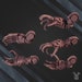 10 Nocturnal Claws Bundle (set of 5 Left+right) | OFFICIAL PREMIUM 8K ...