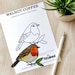 Pattern Robin Bird Stained Glass, Robin Bird Stained Glass Suncatcher ...