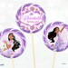 Encanto Isabela Birthday Party Package, Encanto Isabela Birthday ...
