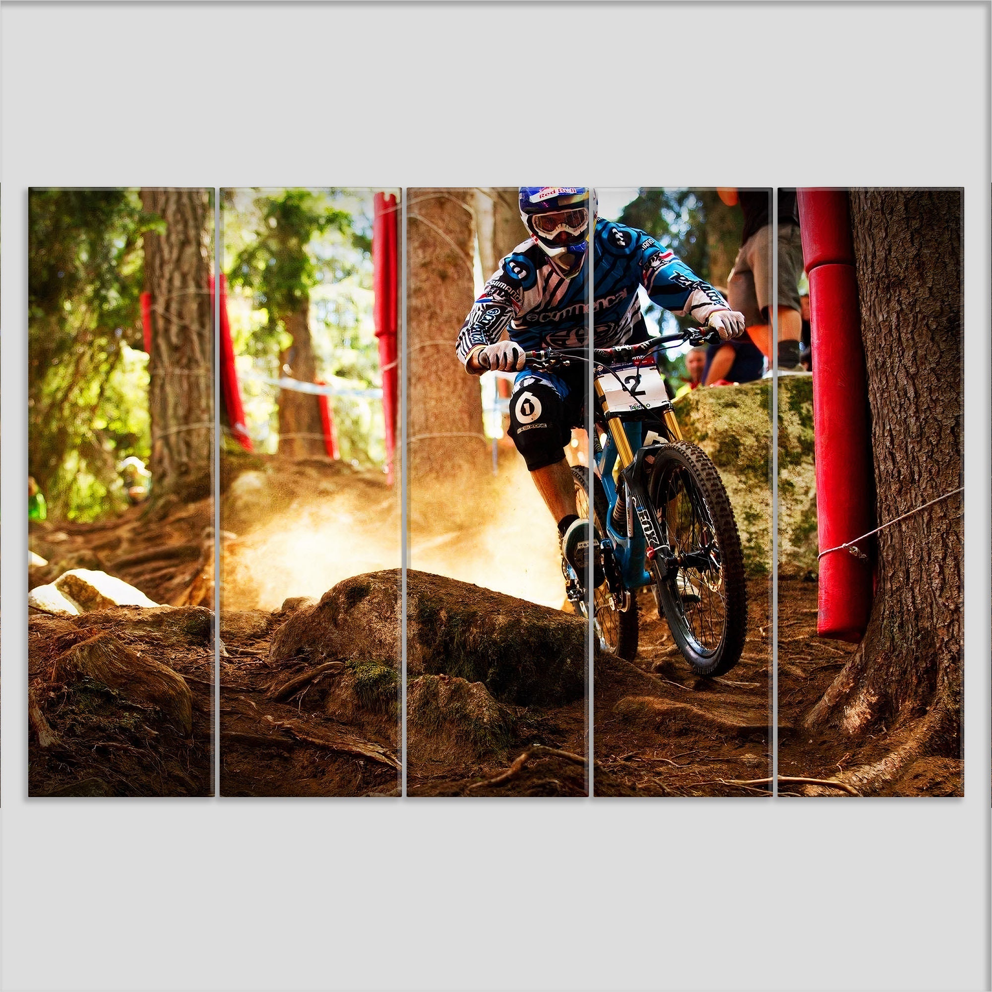 Downhill Mountain Bike Canvas Print, Mountain Bike Canvas Art, Downhill ...