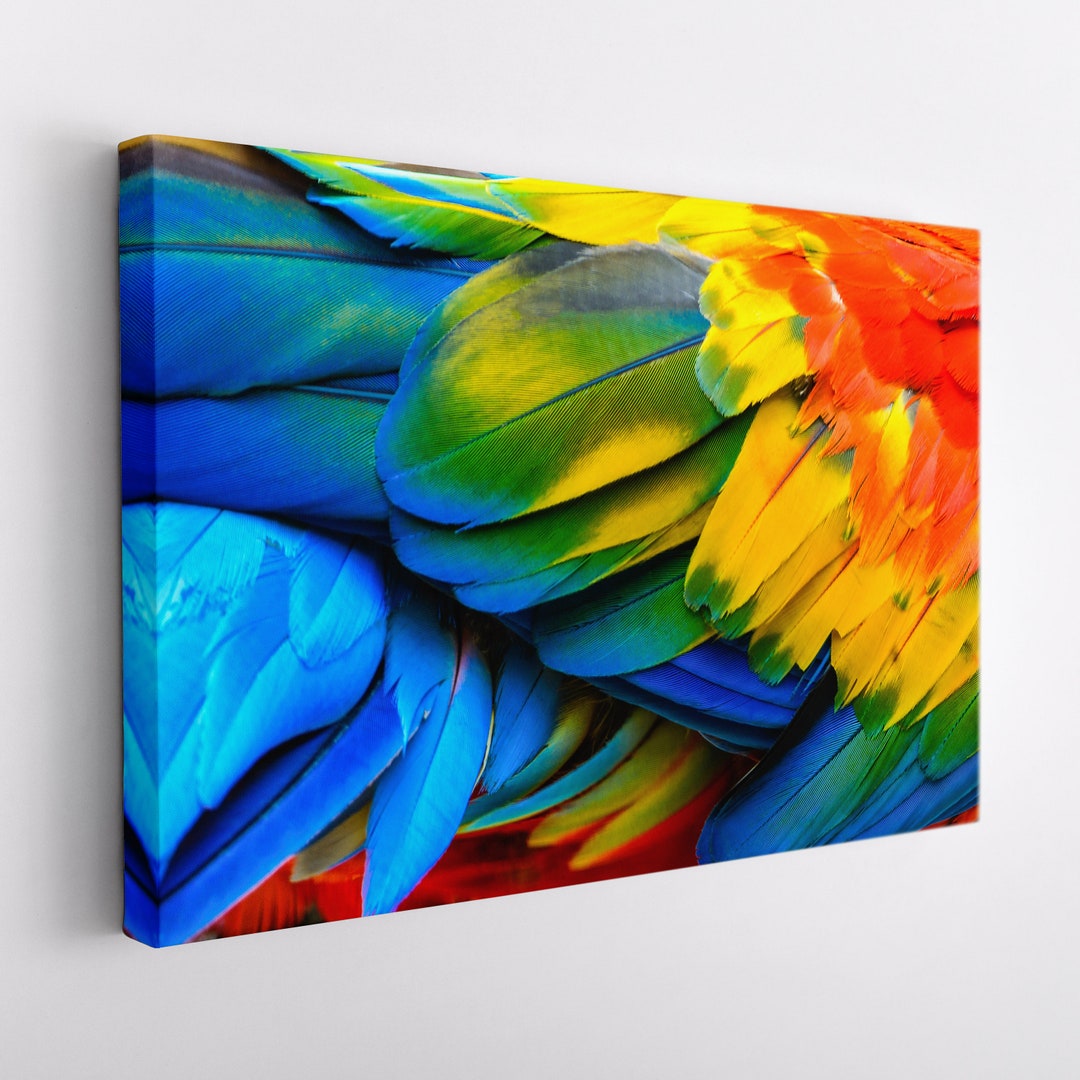 Parrot Feathers Canvas Print, Macaw Canvas Wall Art, Feathers Print ...
