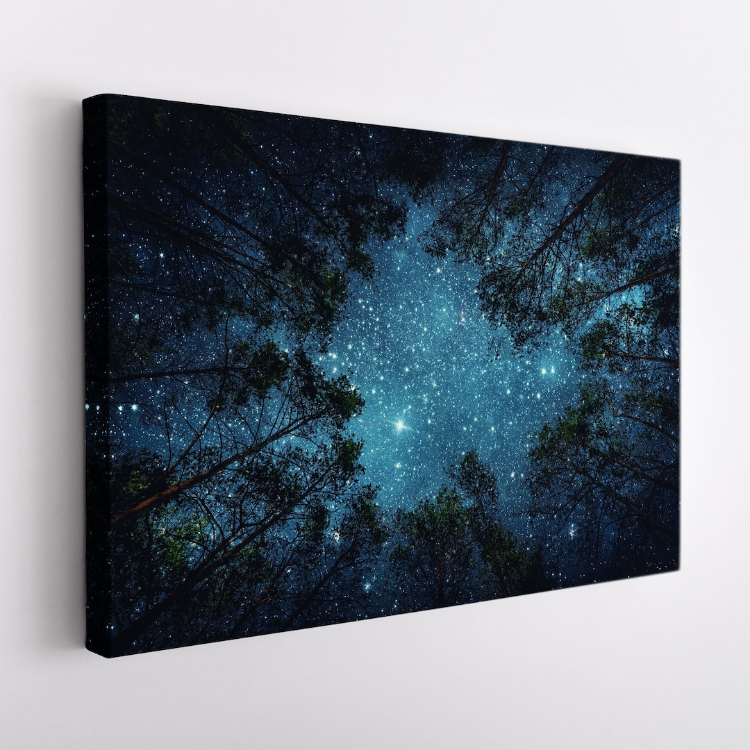 Night Sky Canvas Art, Night Forest Wall Art, Stars Over Forest Canvas ...