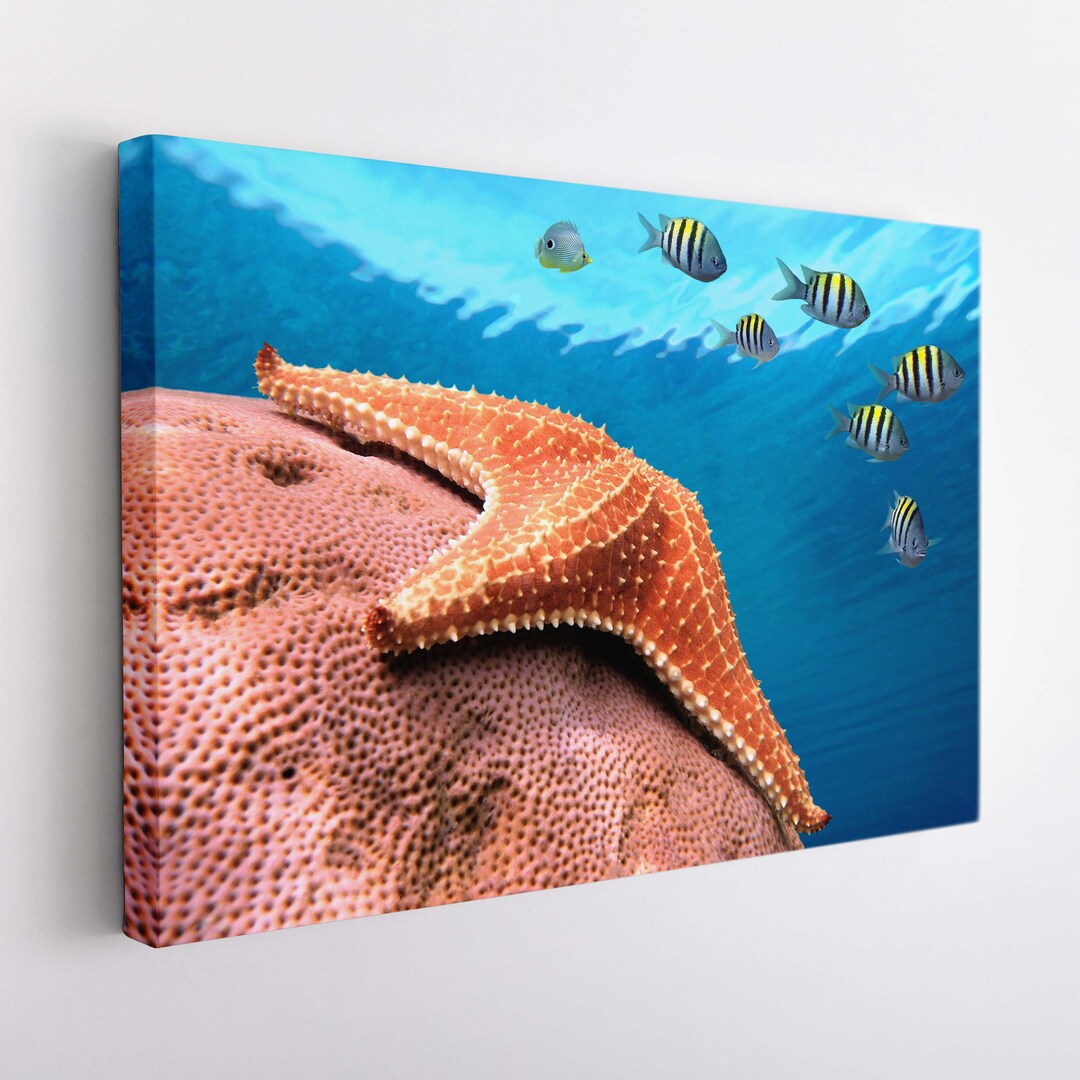 Underwater Wall Art, Starfish Canvas Art, Diving Canvas Print, Ocean ...