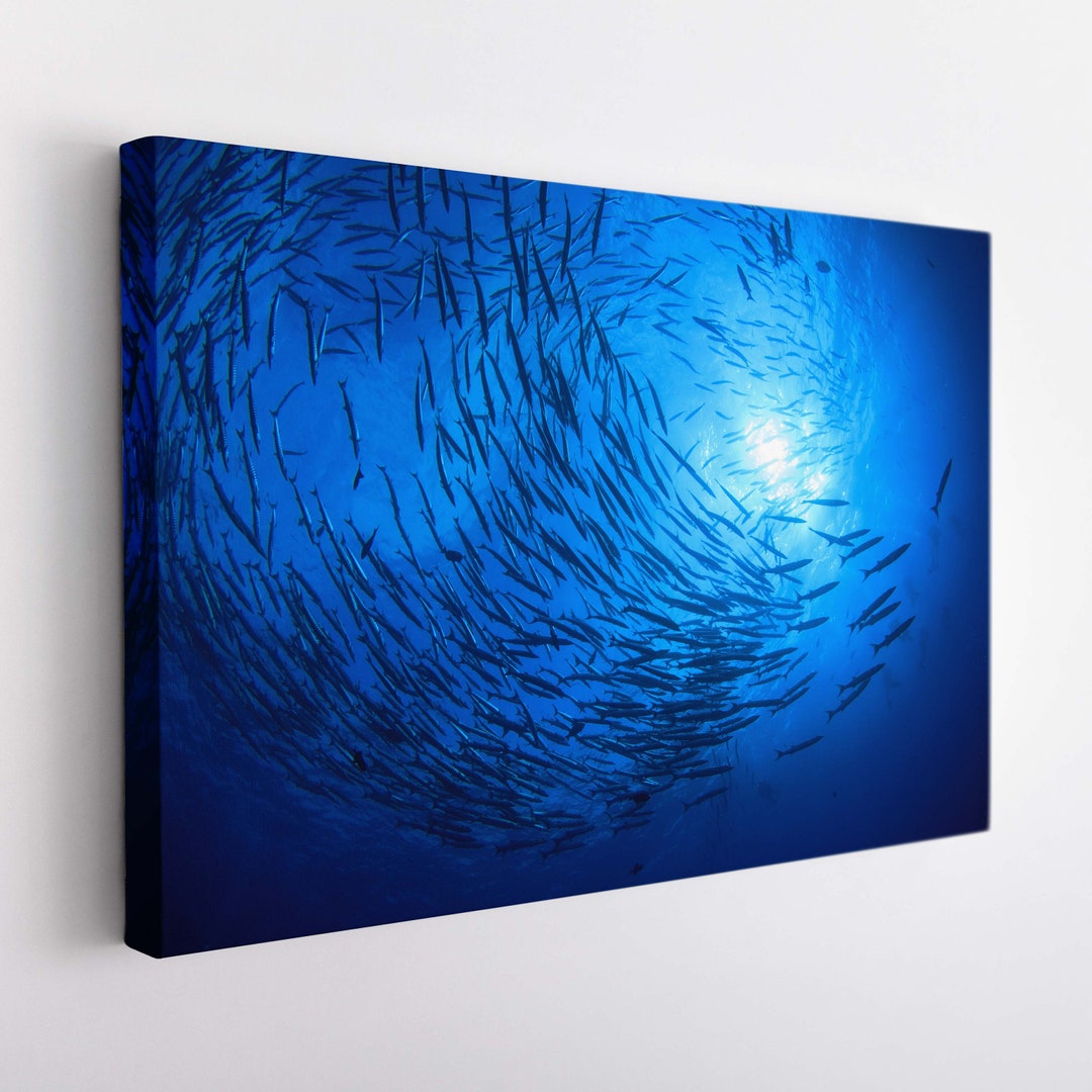 Underwater Wall Art, Diving Canvas Print, Ocean Life Canvas Art, Fish ...