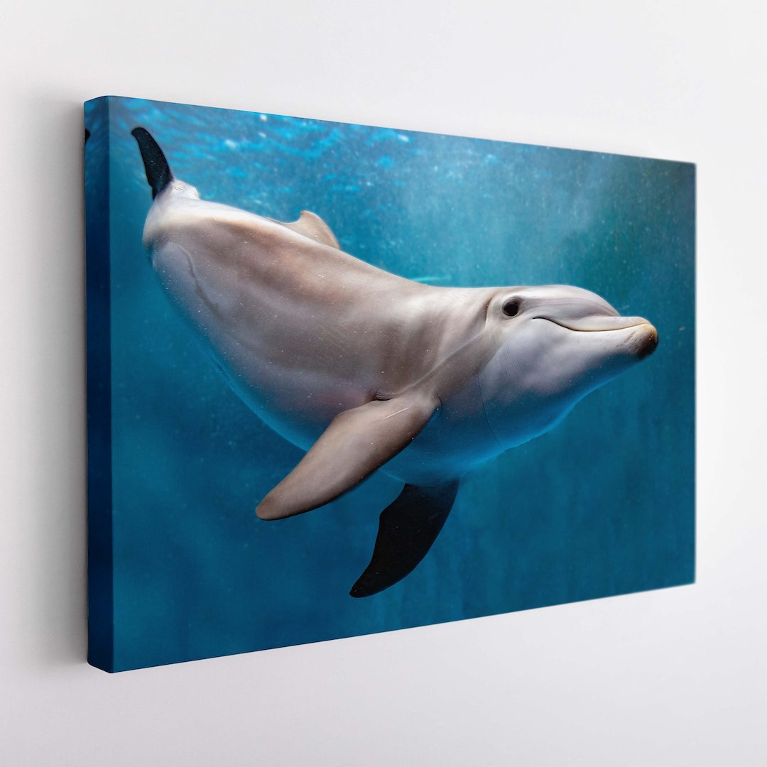 Dolphin Canvas Print, Dolphins Wall Art, Ocean Life Canvas Art, Dolphin Print - Etsy
