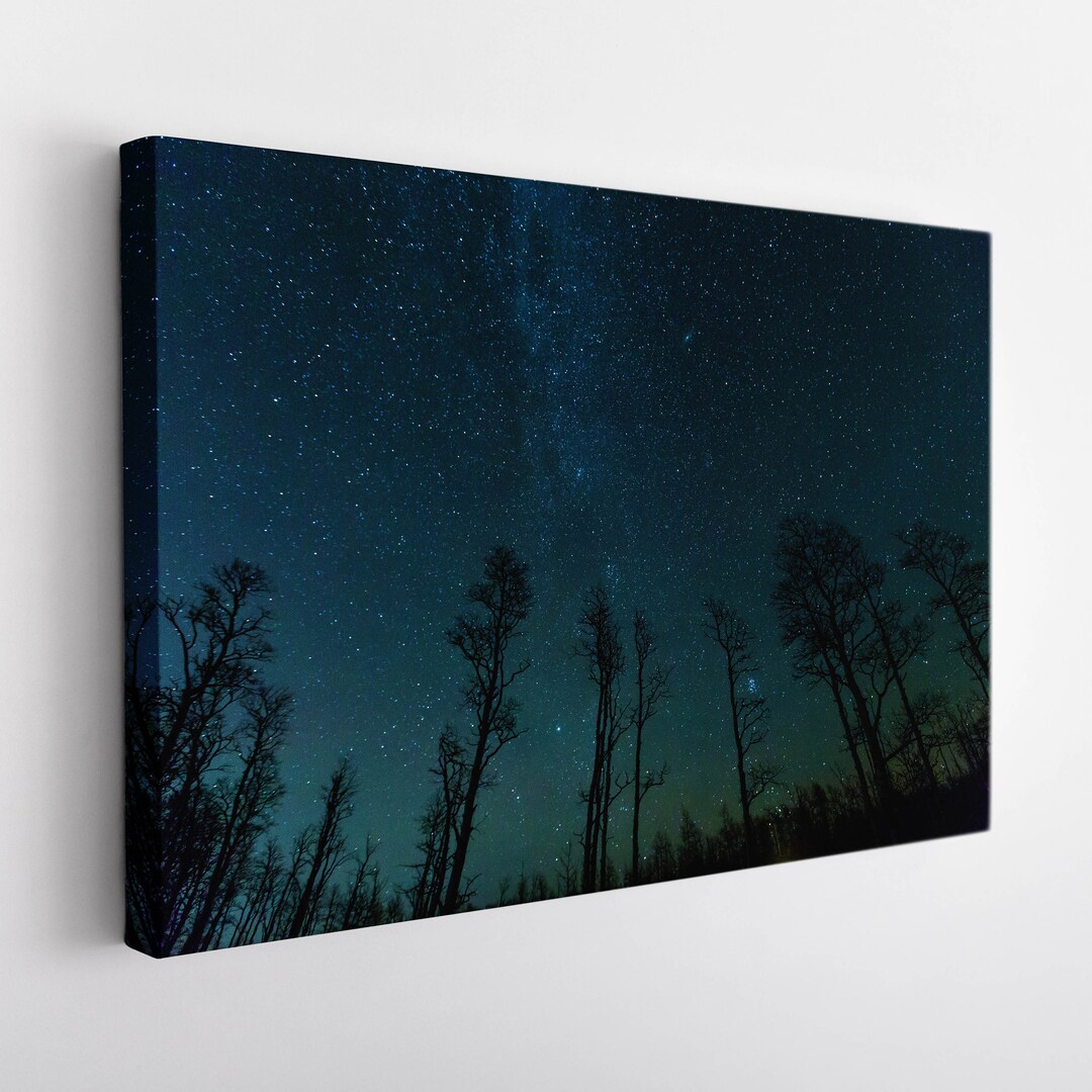 Stars Over Trees Canvas Print, Night Sky Canvas Art, Night Forest Wall ...
