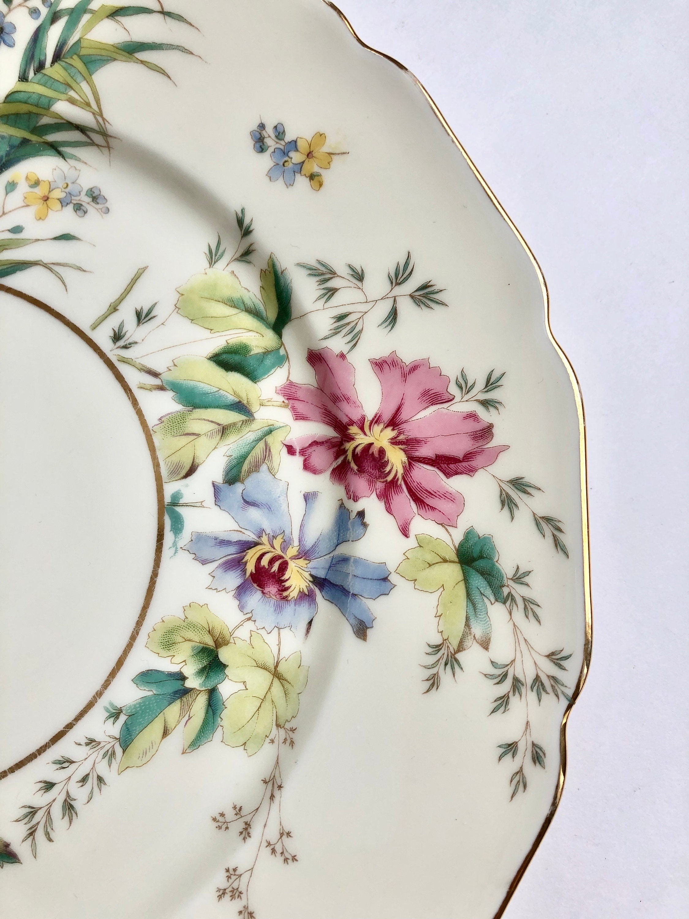 Vintage Thomas Ivory Bavaria LADY HAMILTON Dinner, Salad or Dessert ...