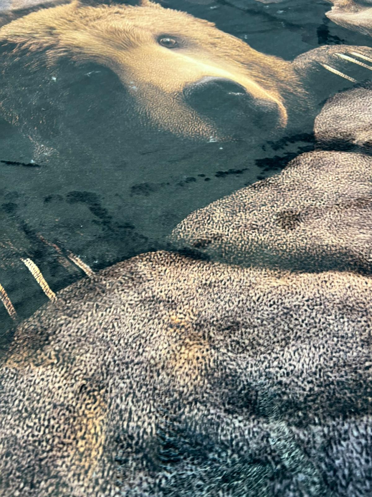 3D Bear Rug: Realistic Cave Illusion Carpet, Brown Gray Stone Design ...