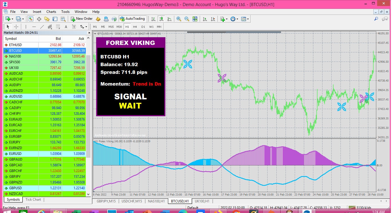 Forex Viking MT4 Indicator - Etsy