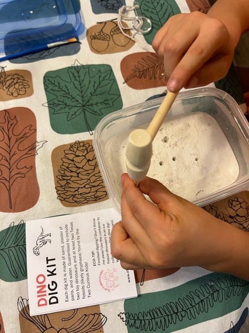 Dinosaur Dig Kit - Etsy
