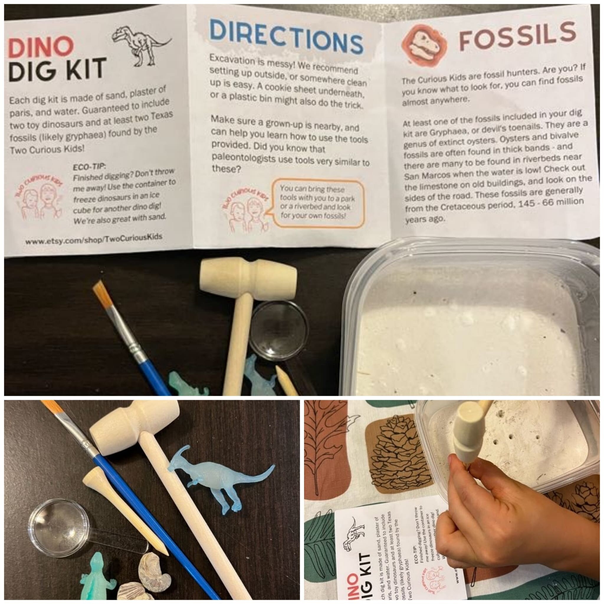 Dinosaur Dig Kit - Etsy