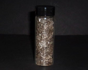 Shredded Snake Skin - Etsy