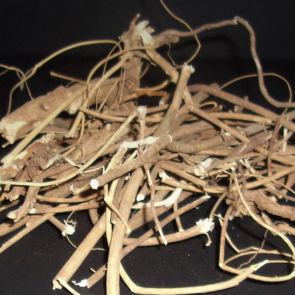 Devils Shoestring Root - Etsy