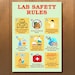 Lab Safety Rules Poster Set | Science Lab Safety Signs for Classroom ...