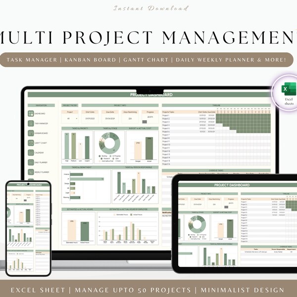 Program Management Dashboard Template - Etsy