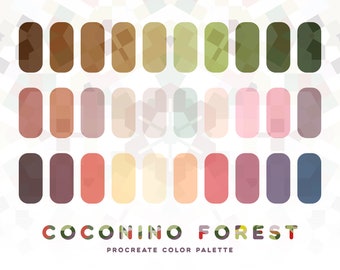Lake Ranch | Procreate Color Palette | INSTANT DOWNLOAD | Forest Color ...