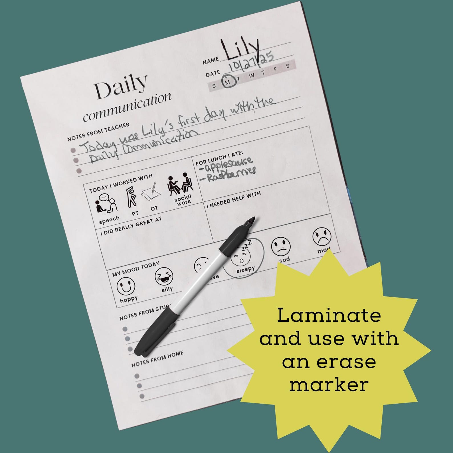 Printable Daily Communication Log for Special Needs Students Teachers ...
