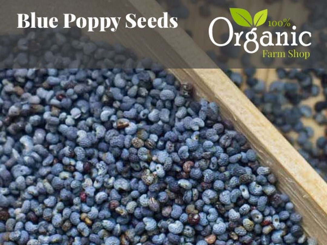 Poppy Seeds for Tea / Fresh & Organic Blue Poppy Seeds - Handmade ...