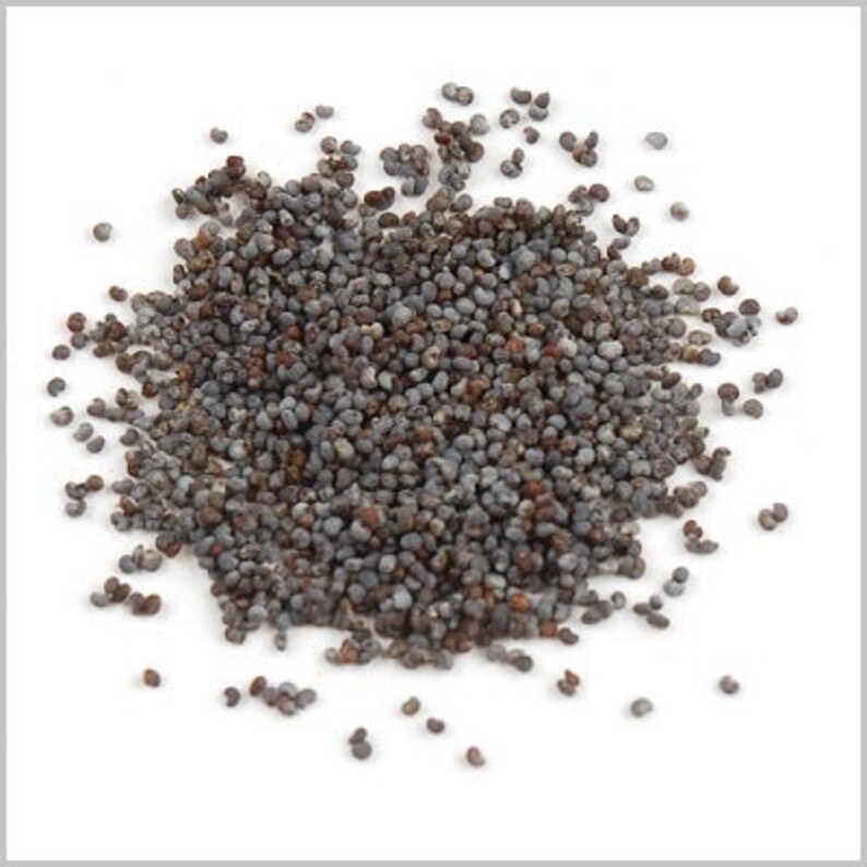 Blue Poppy Seeds for Tea / 200g Fresh & Organic Blue Poppy Seeds ...