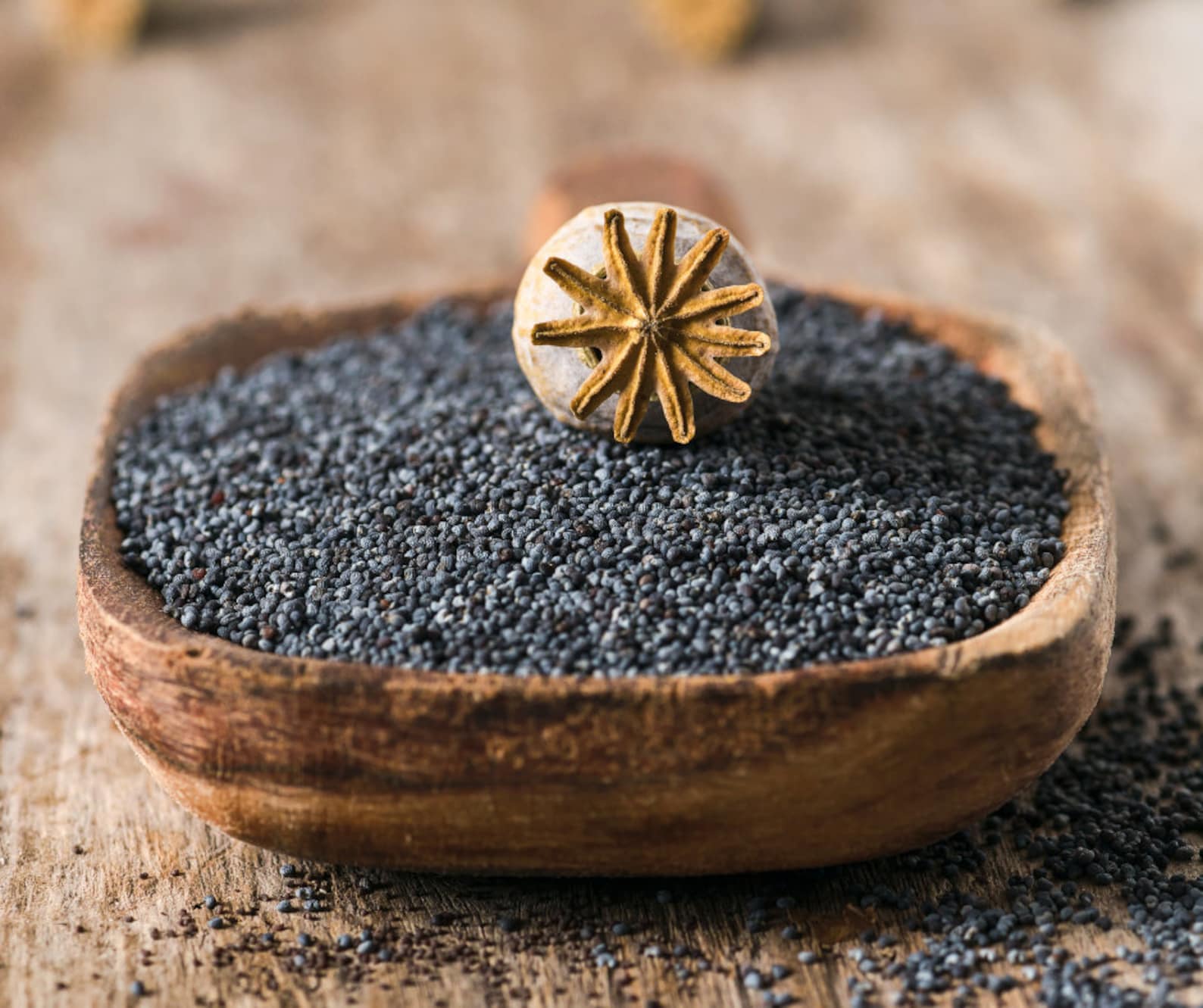 Blue Poppy Seeds for Tea / 450g Fresh & Organic Blue Poppy Seeds ...