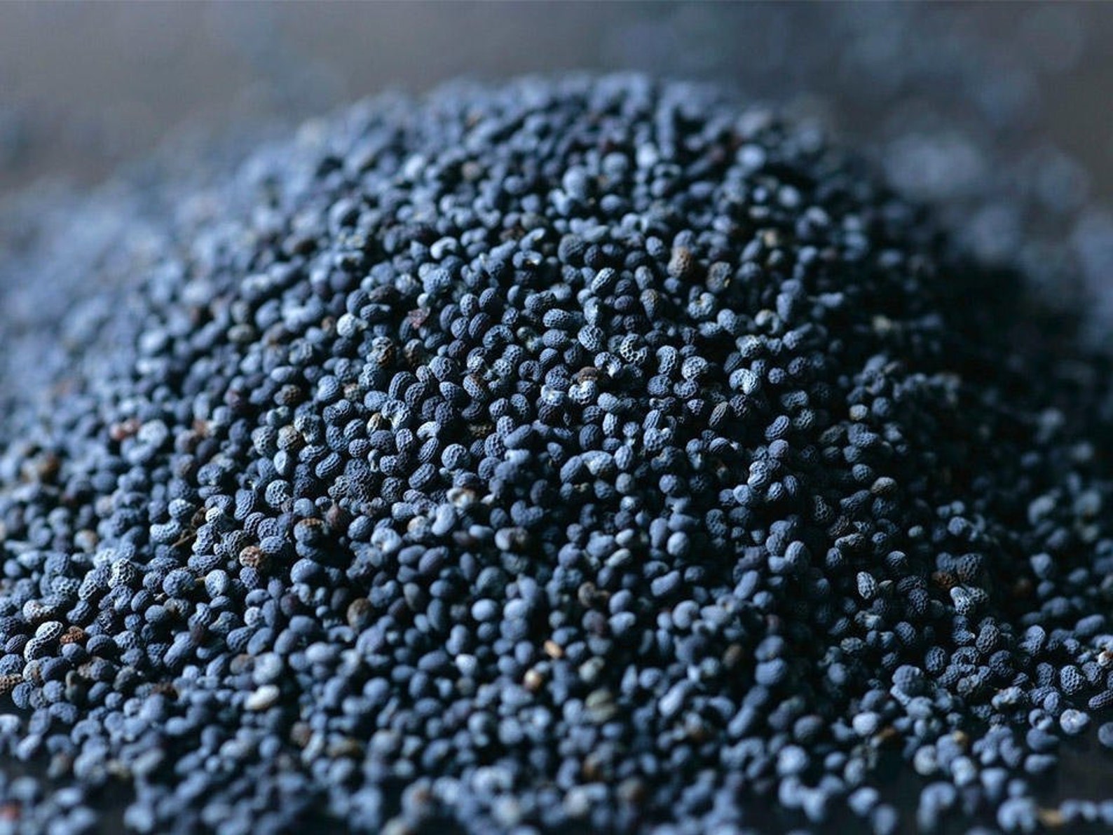 Blue Poppy Seeds for Tea / 450g Fresh & Organic Blue Poppy Seeds ...