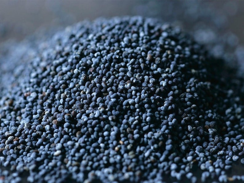 Blue Poppy Seeds for Tea / 450g Fresh & Organic Blue Poppy Seeds ...