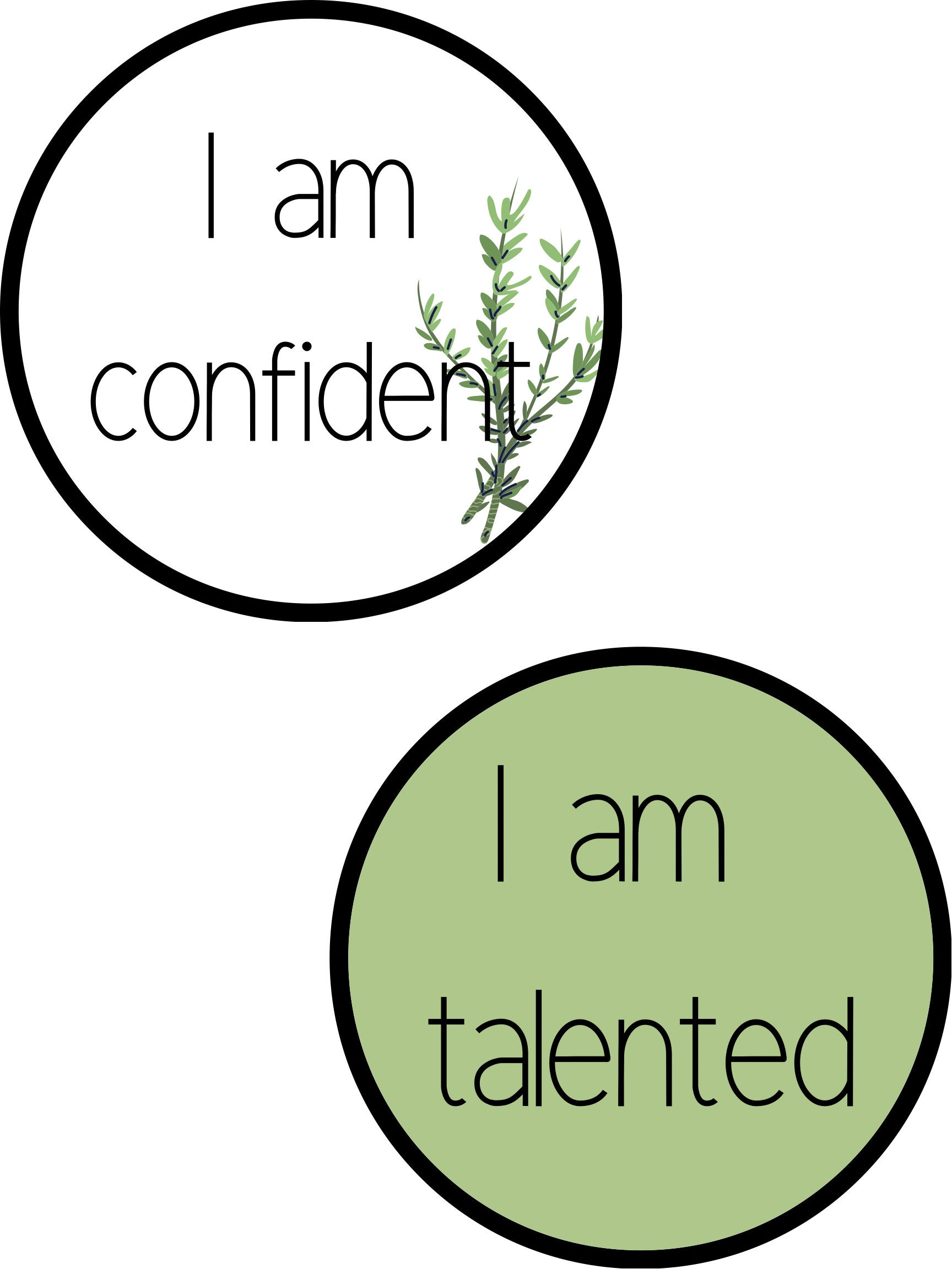 Modern Botanical Leafy Succulent Classroom Affirmation Mirror Set - Etsy