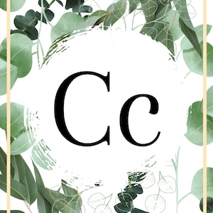 Modern Botanical Leaf Succulent Classroom Alphabet Posters - Etsy