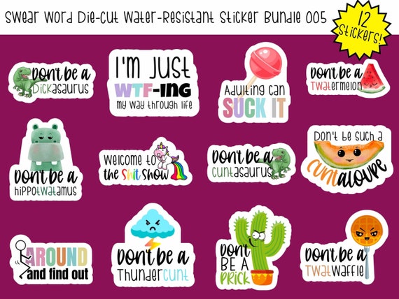 Swear Word Water-resistant Die-cut Sticker Bundle 5 Adult - Etsy