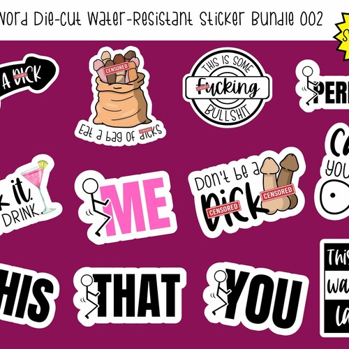 Swear Word Die-cut Water-resistant Sticker Bundle 2 Adult - Etsy