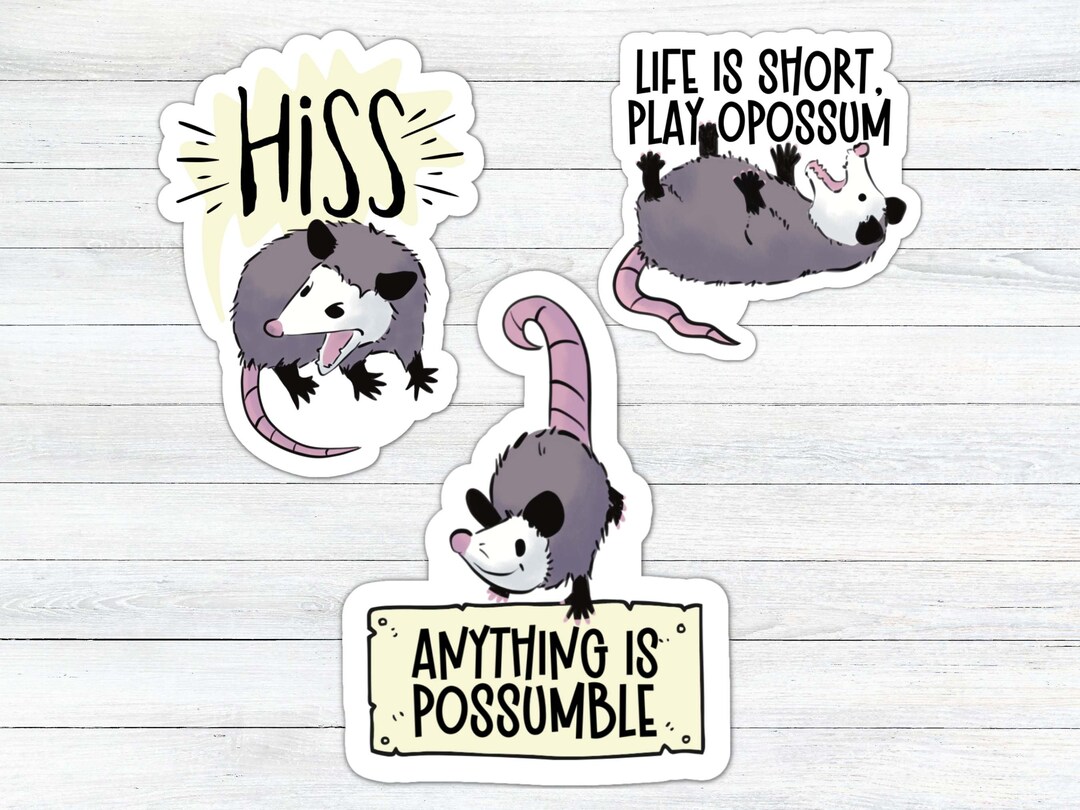 Possum Stickers, Opossum Stickers, Funny Cute Opossum Stickers - Etsy